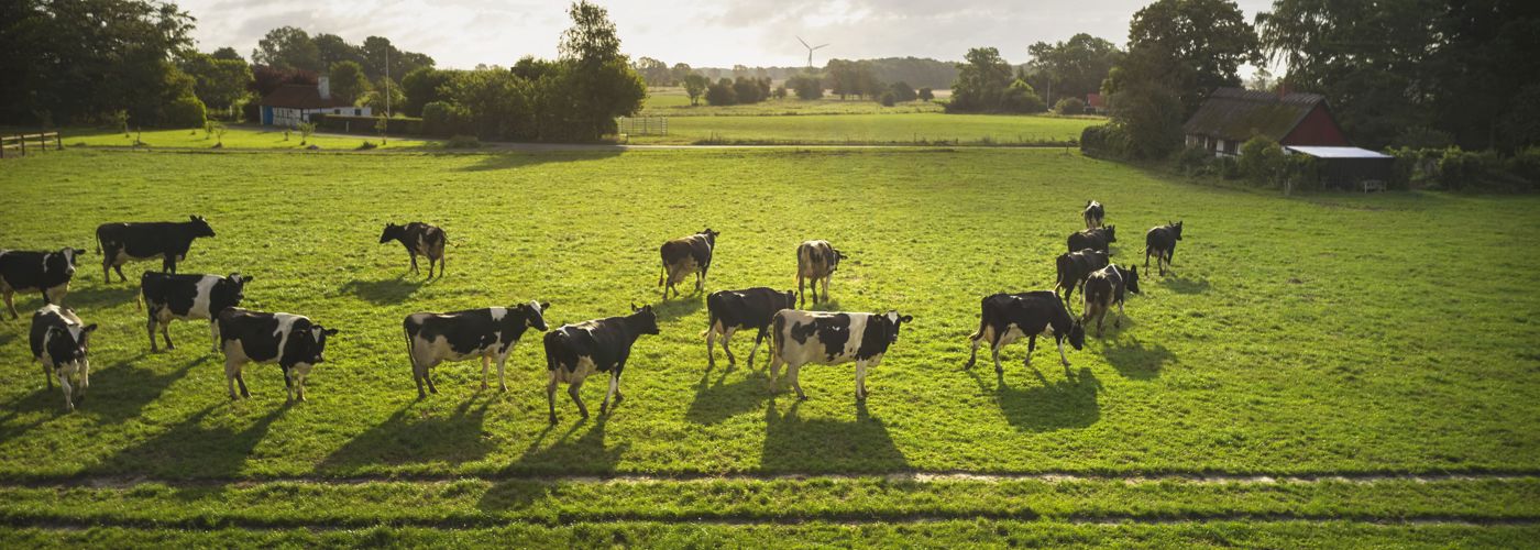 Pour Arla Pro, la marque professionnelle de la coopérative Arla Foods ...